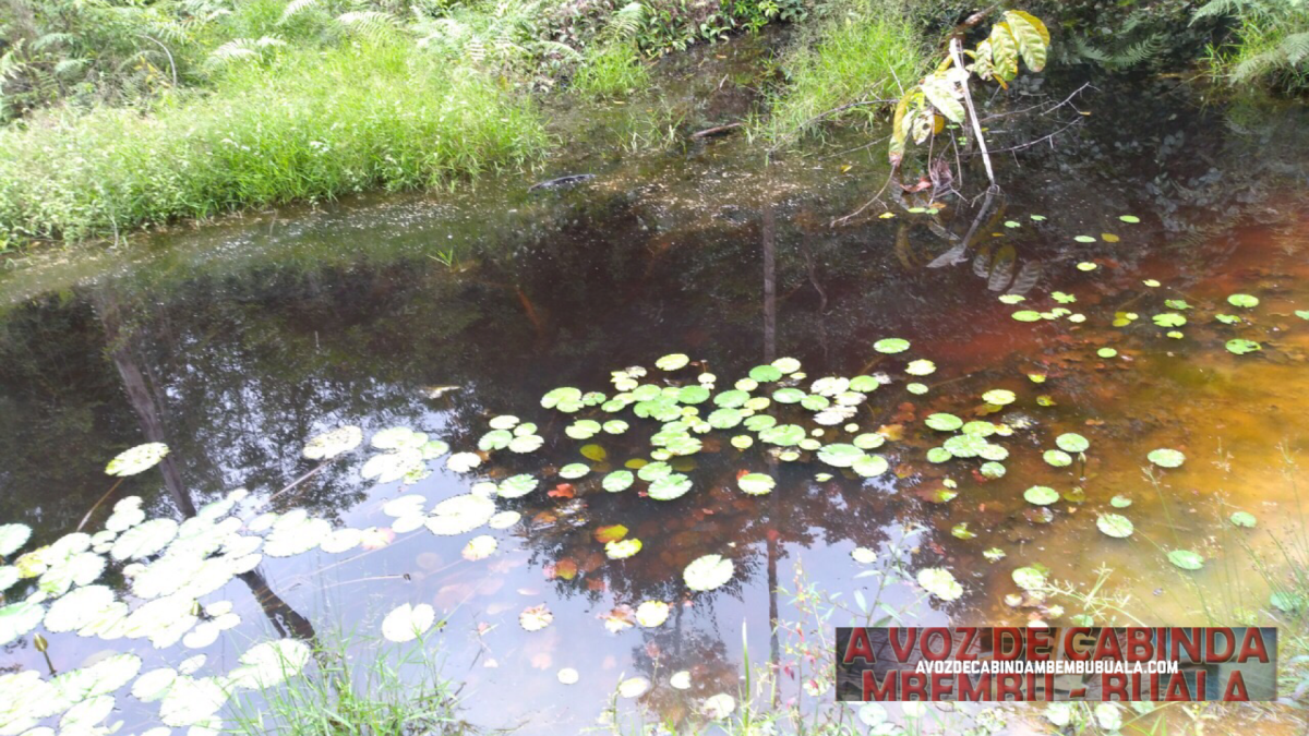 REAÇÃO DE DANIEL VINGO* AO DISCURSO DE BORNITO DE SOUSA – MBEMBU BUALA ...